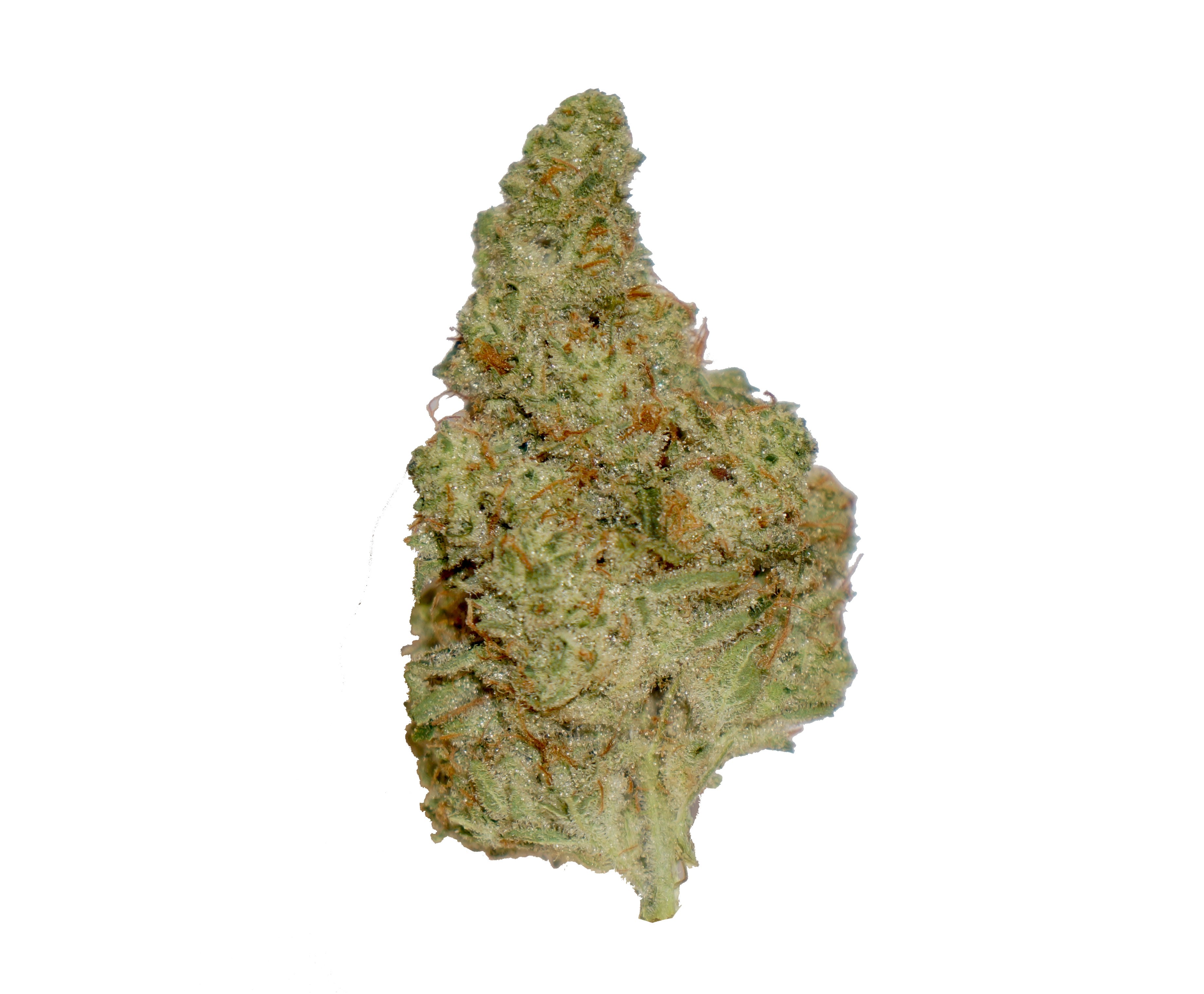 SOLACE GROWN - SOLACE GROWN - STARFIRE CREAM - TOP SHELF - 1/2 OZ